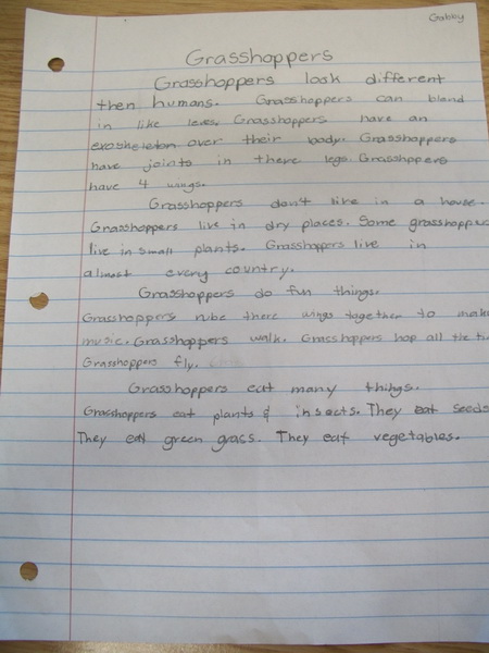 Research Papers on Insects - A is for Andrea A is for Andrea